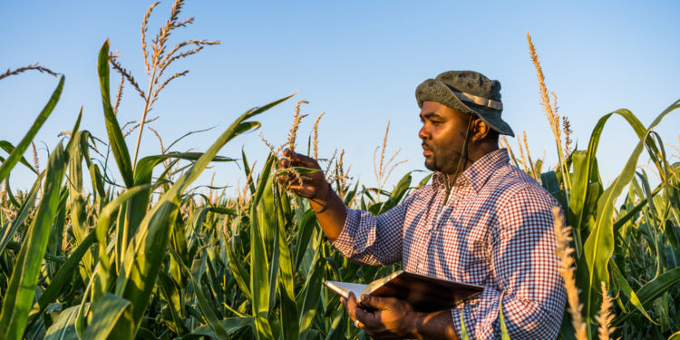 Caribbean Community Climate Change Centre (CCCCC) Launches Virtual ...