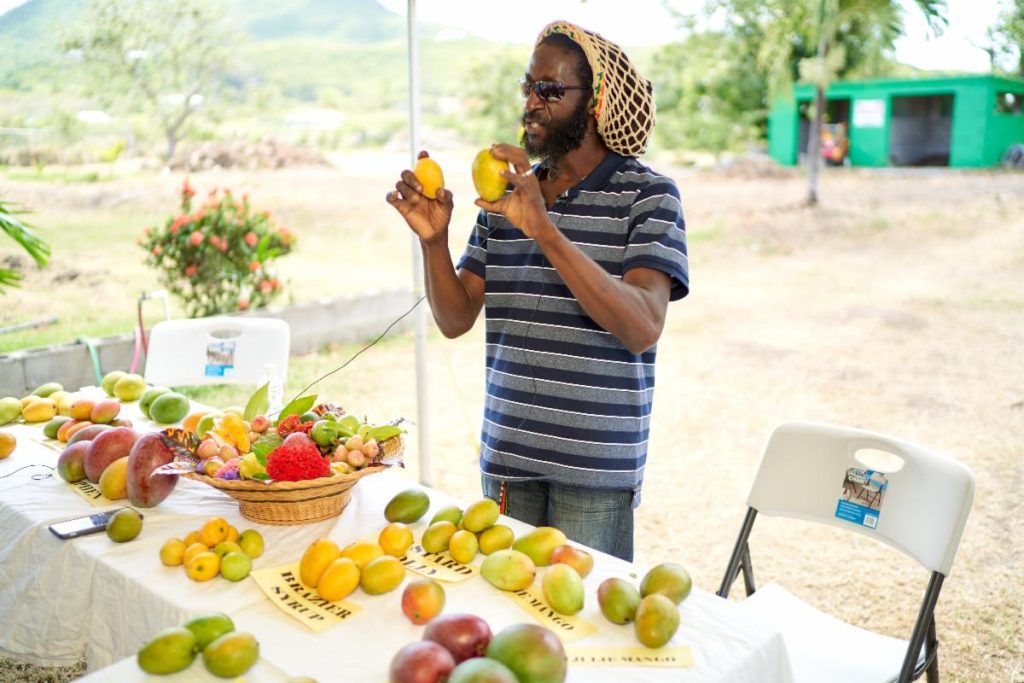 Mango Festival Tickets Now On Sale – NevisPages.com