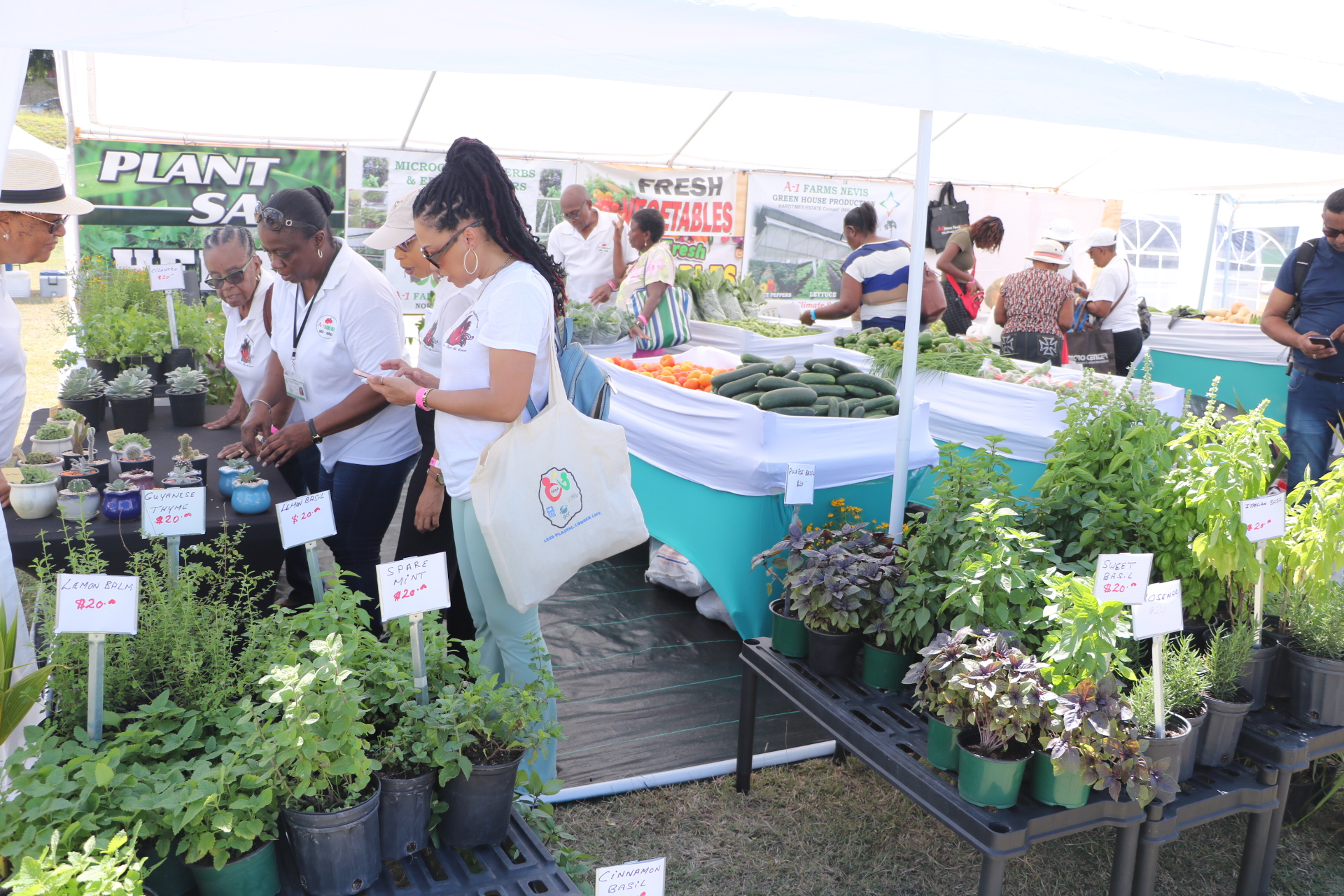 Nevis Minister Of Agriculture Expects Agri-Expo 2024 To Be Bigger Than ...