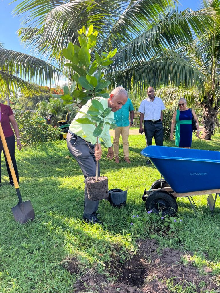 NIA Cabinet Engage in Tree-Planting Exercise as Part of St. Kitts And ...