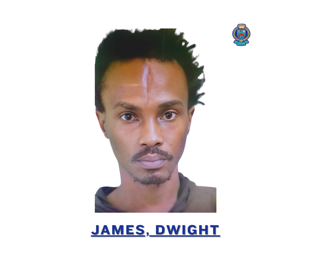 Dwight James Sentenced Eighteen Years For Manslaughter – NevisPages.com
