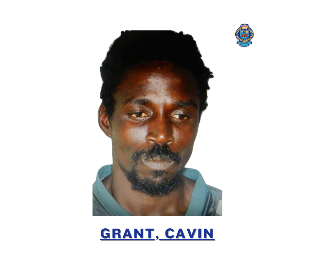 Cavin Grant Sentenced for Larceny – NevisPages.com