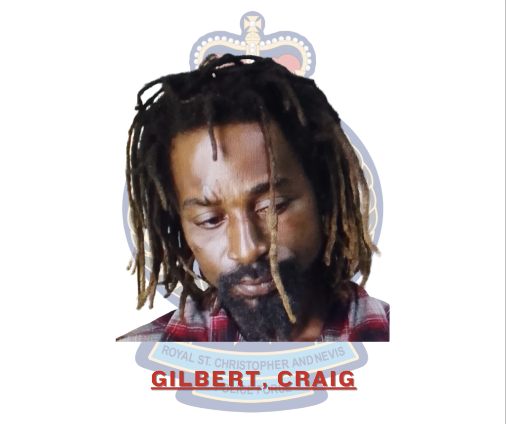 Multiple Charges Laid Against Craig Gilbert – NevisPages.com