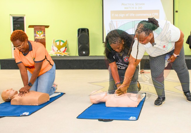 Football : SKNFA Safeguarding and First Aid Training Hailed a Success ...